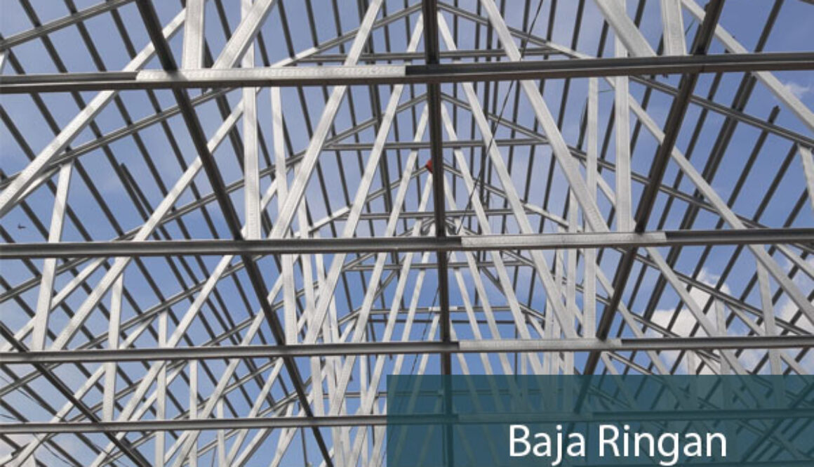 produk – PT. CAHAYA ANUGERAH SAKTI